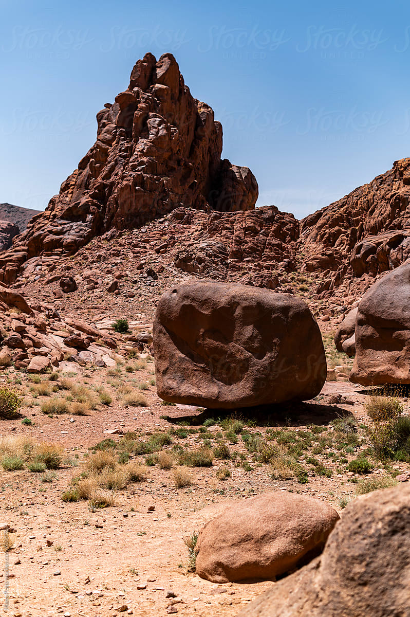 Large Desert Landscaping With Rocks 9 Desert Landscaping Ideas For A
