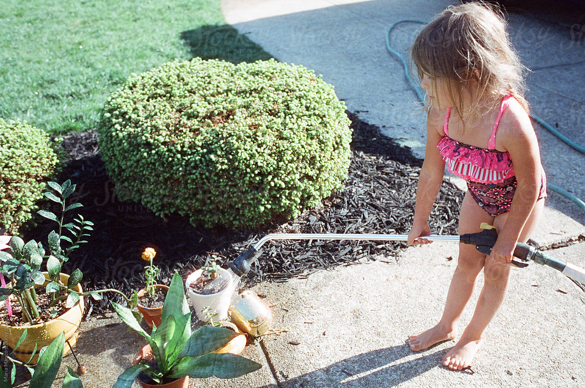 "Little Girl Waters Plants With Hose" by Stocksy Contributor "Maria ...