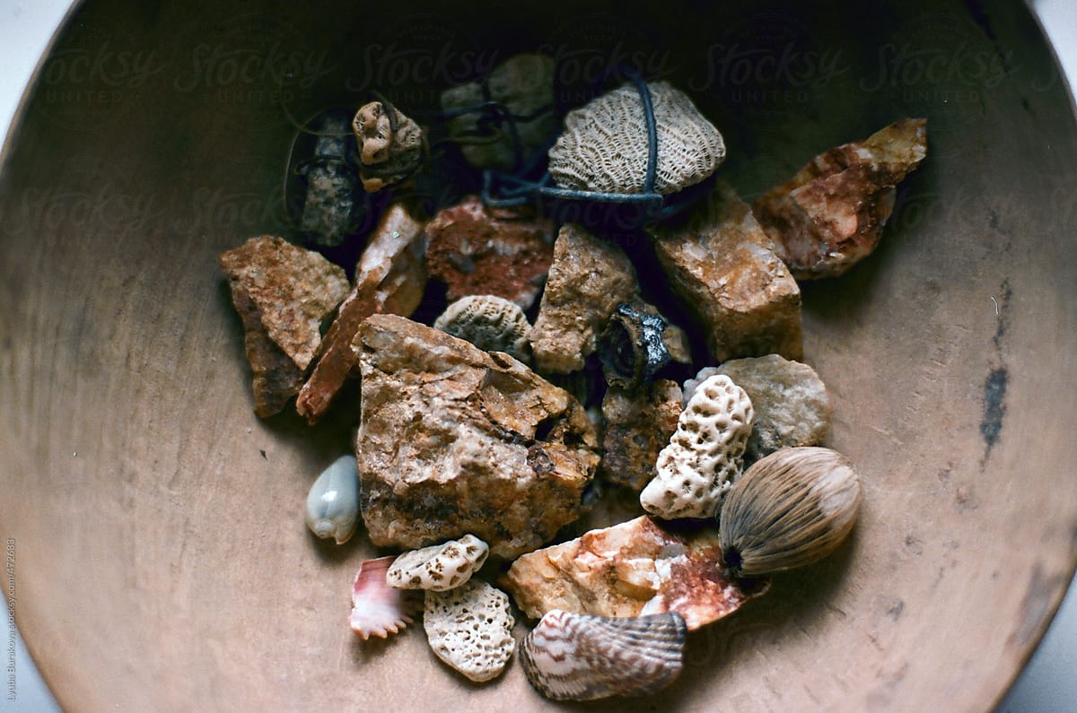 "Stones And Shells From Colombia" by Stocksy Contributor "Amor Burakova ...