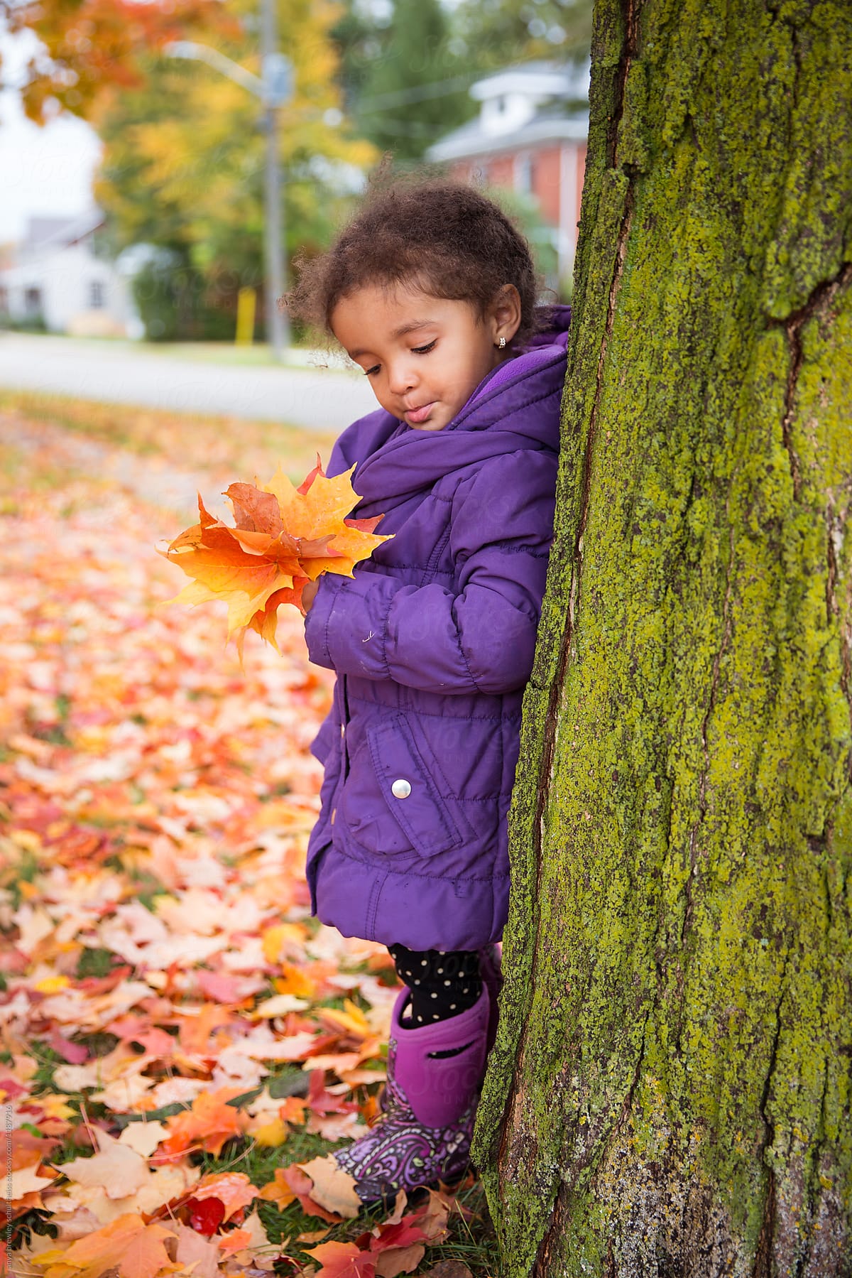 "A Child Examining A Handful Of Orange Autumn Leaves" by Stocksy ...