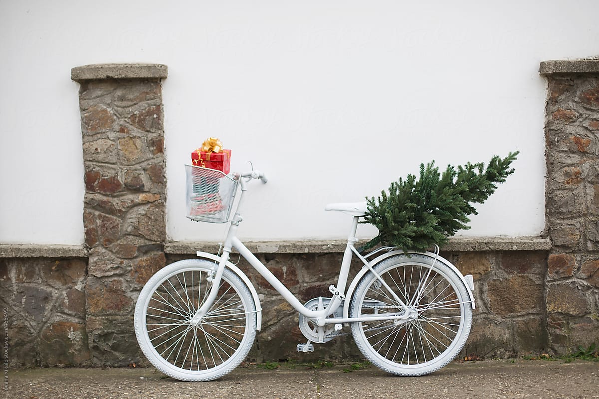 "Christmas Tree And Gifts On A White Bicycle" by Stocksy Contributor ...
