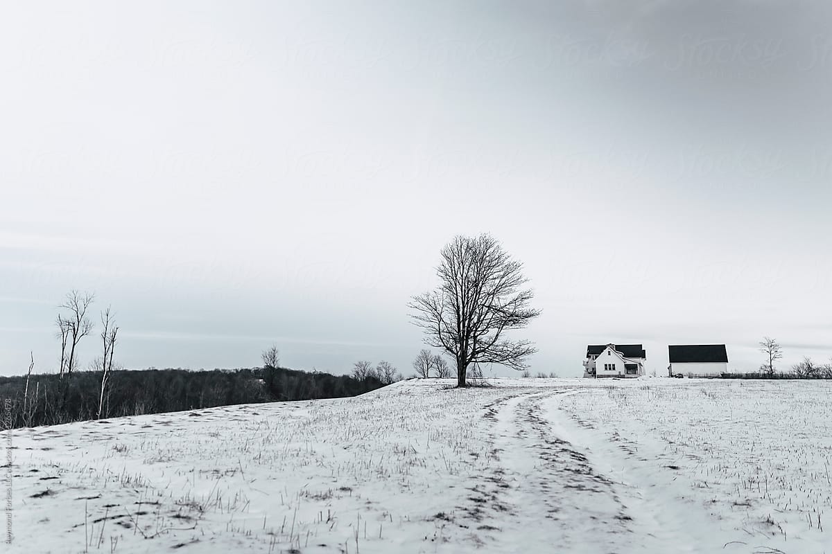 "Winter Landscape" by Stocksy Contributor "Raymond Forbes LLC" - Stocksy