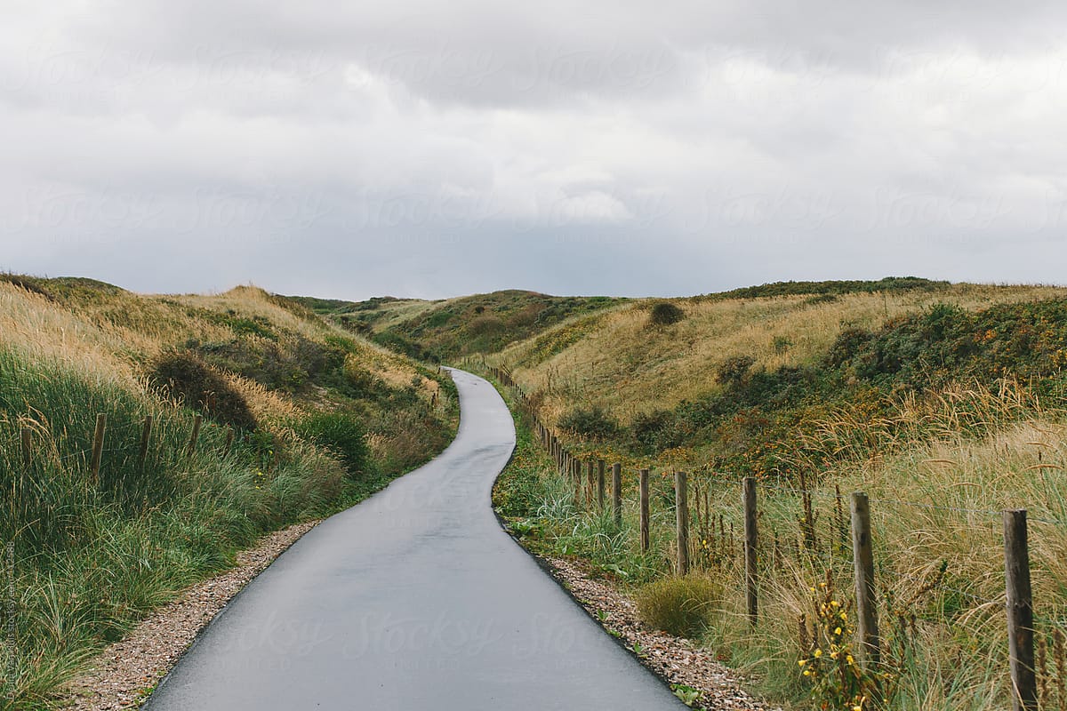 "Path Through The Dunes On A Cloudy Rainy Day." by Stocksy Contributor ...