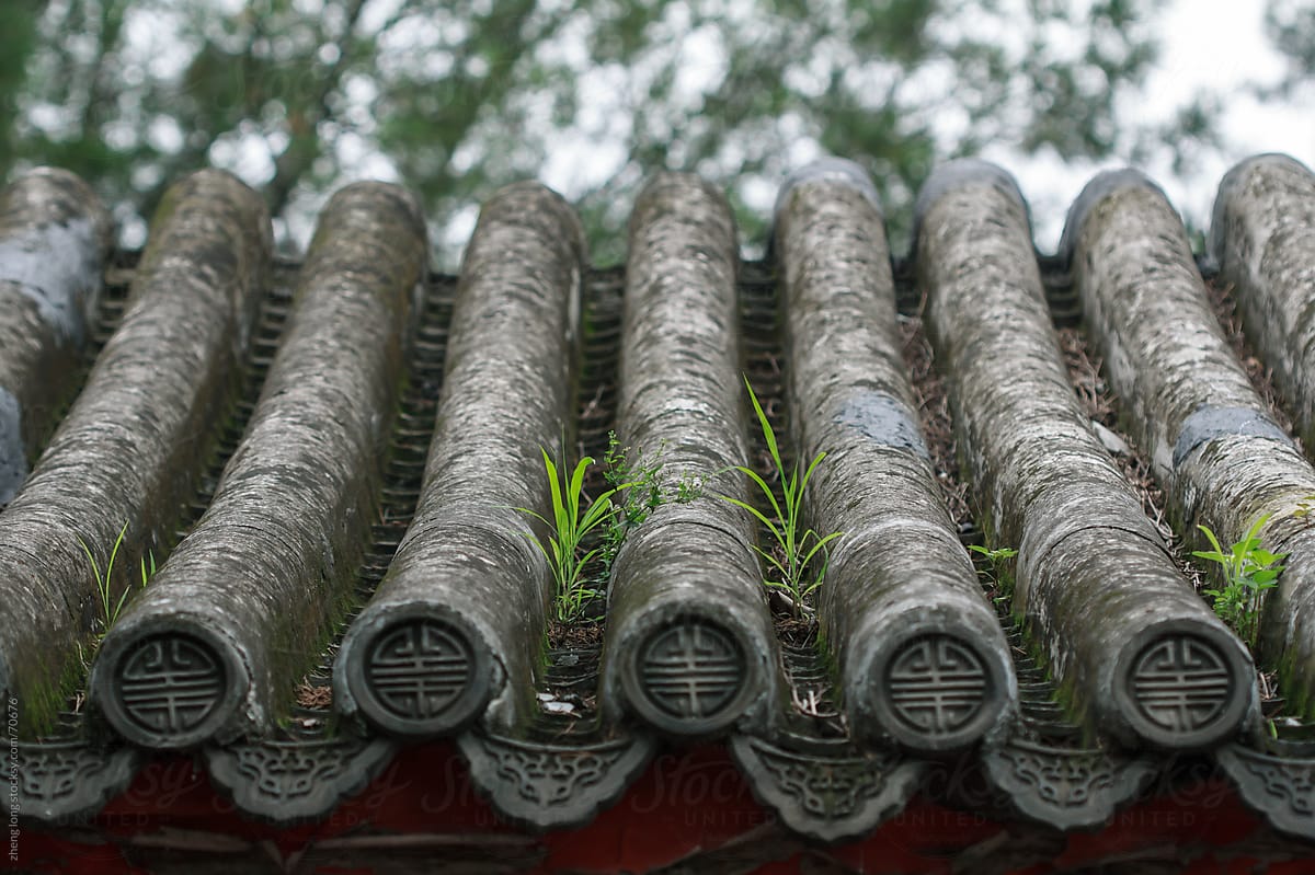"The Grass Grows On The Roof Of Chinese Ancient Buildings" by Stocksy ...