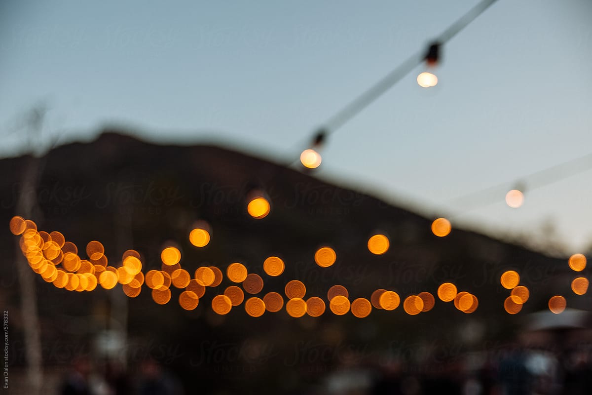 "Decorative Rows Of Lights At Wedding Reception" by Stocksy Contributor ...