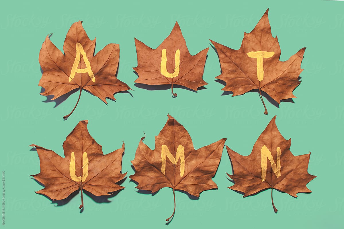 "Autumn Word Written On A Maple Leaves. Pastel Tones." by Stocksy ...