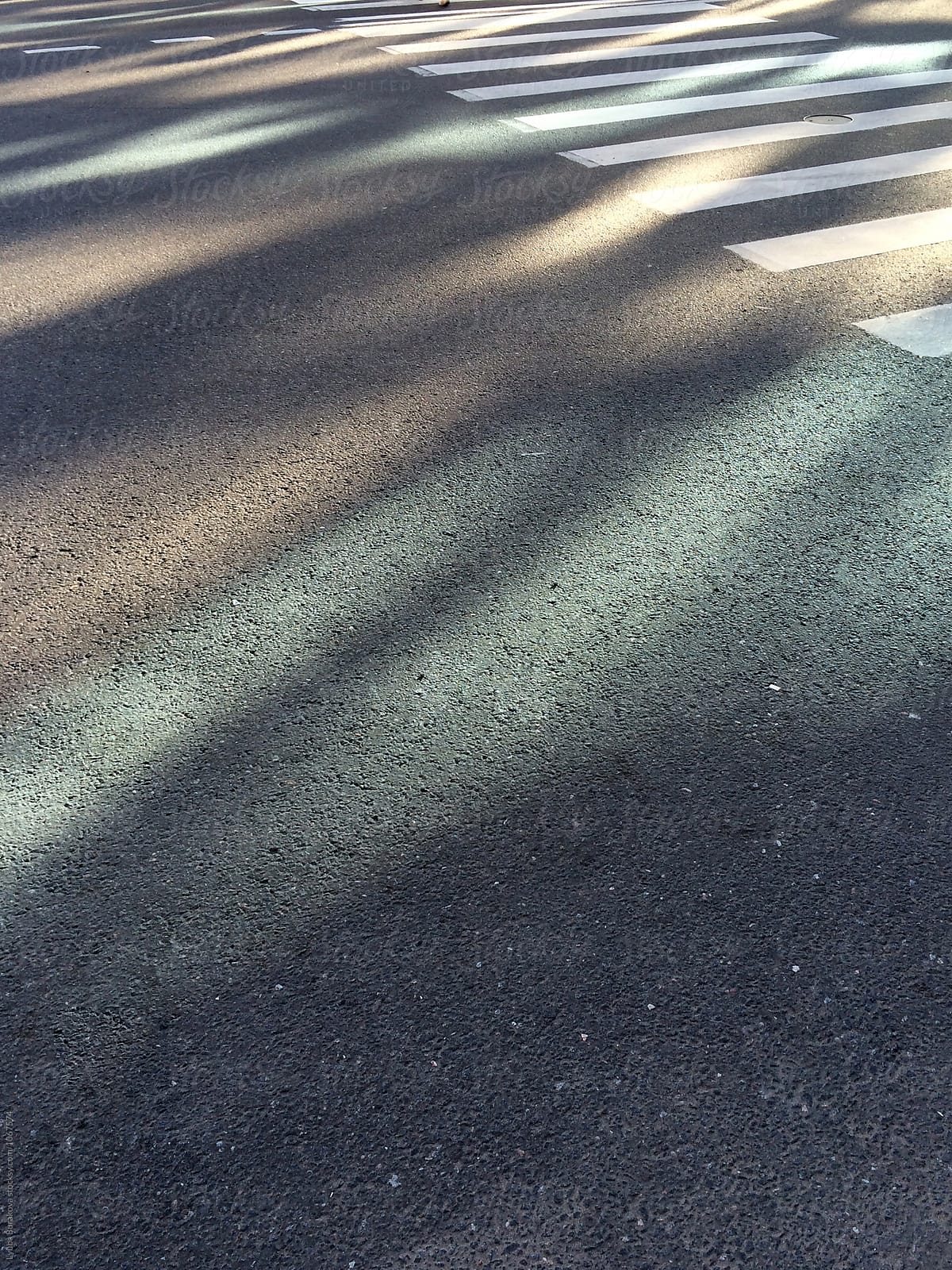 "Sun Light On A Asphalt" by Stocksy Contributor "Amor Burakova" - Stocksy