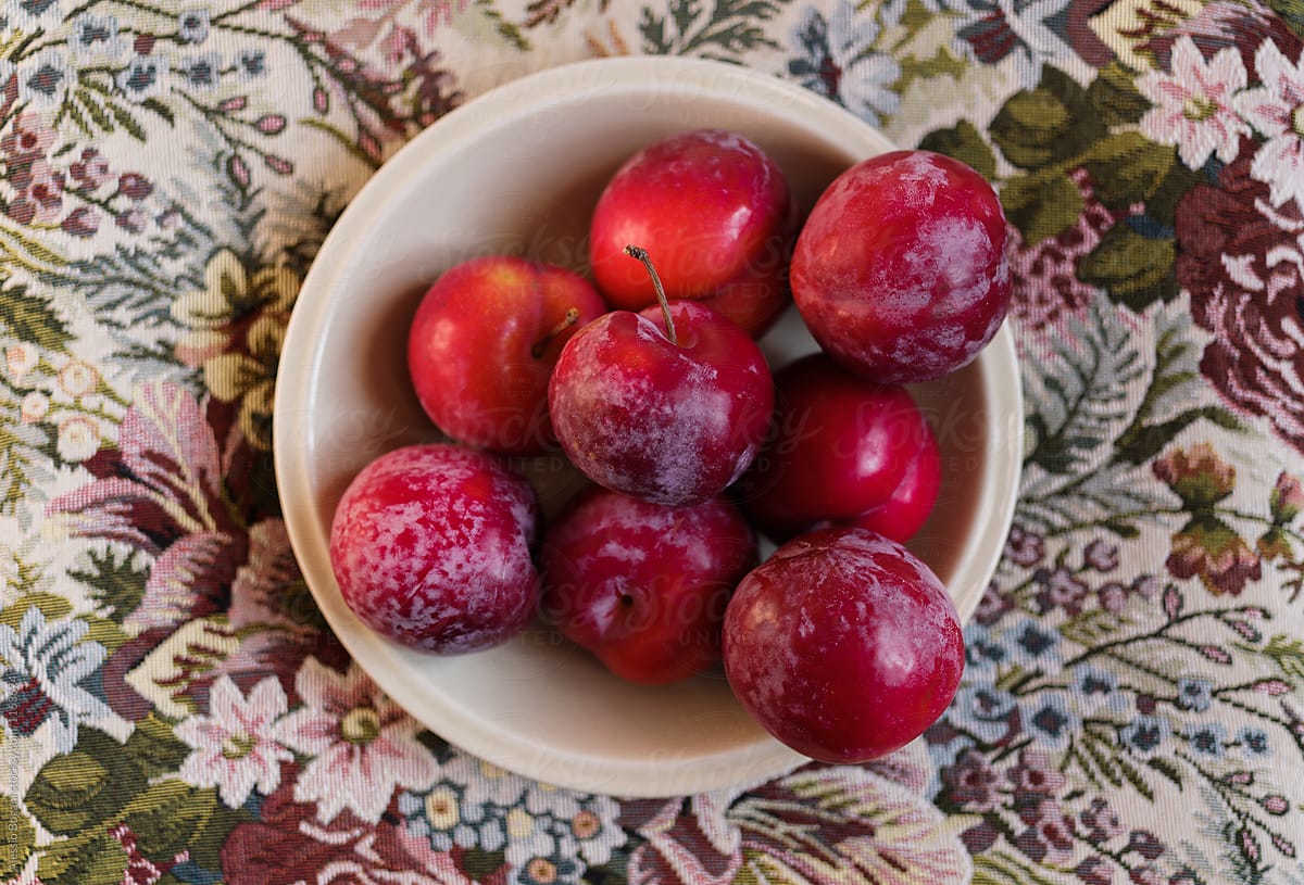 "Round Plums" by Stocksy Contributor "Alessio Bogani" - Stocksy