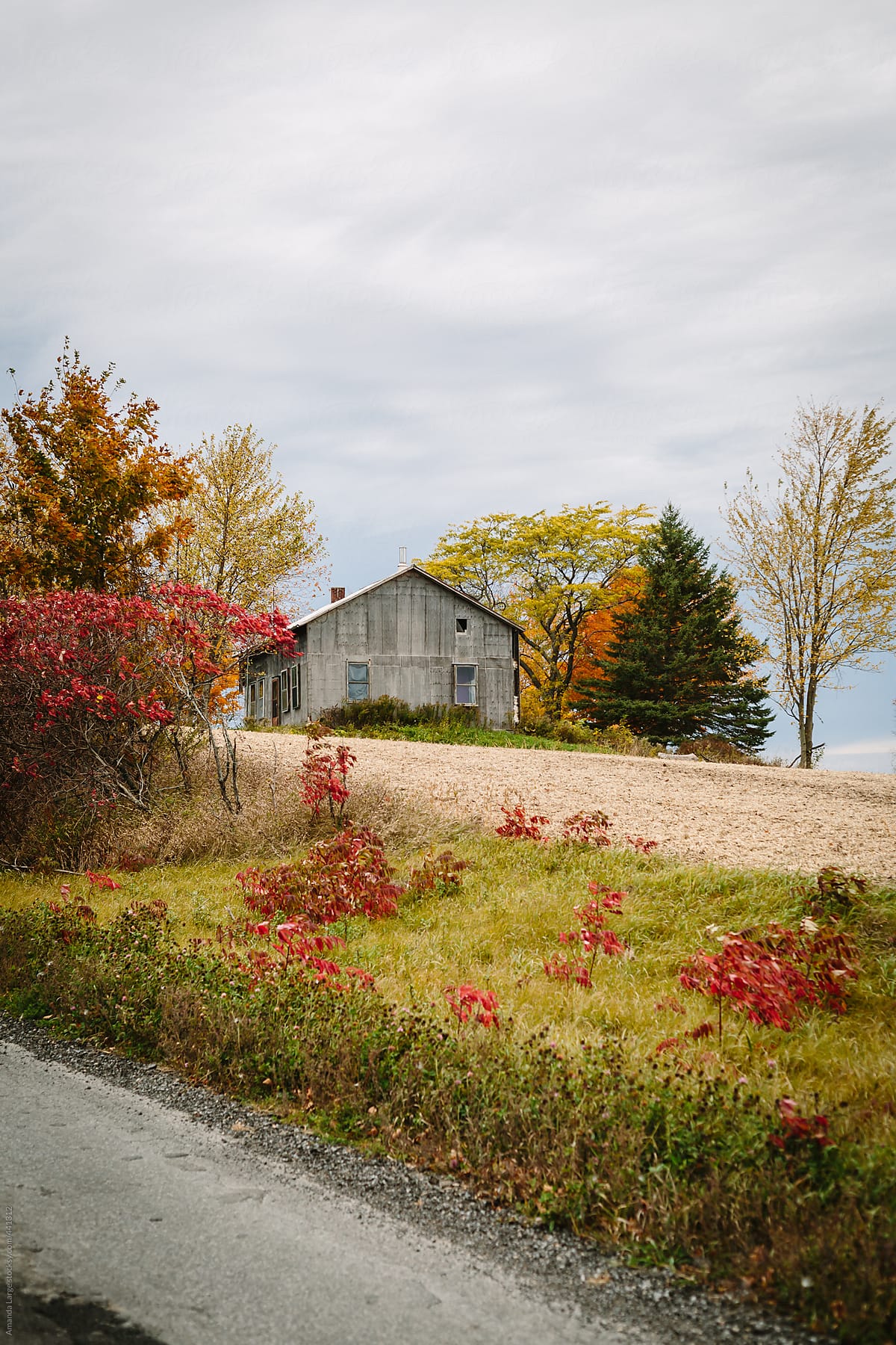 "Prince Edward County In Autumn" by Stocksy Contributor "Amanda Large ...