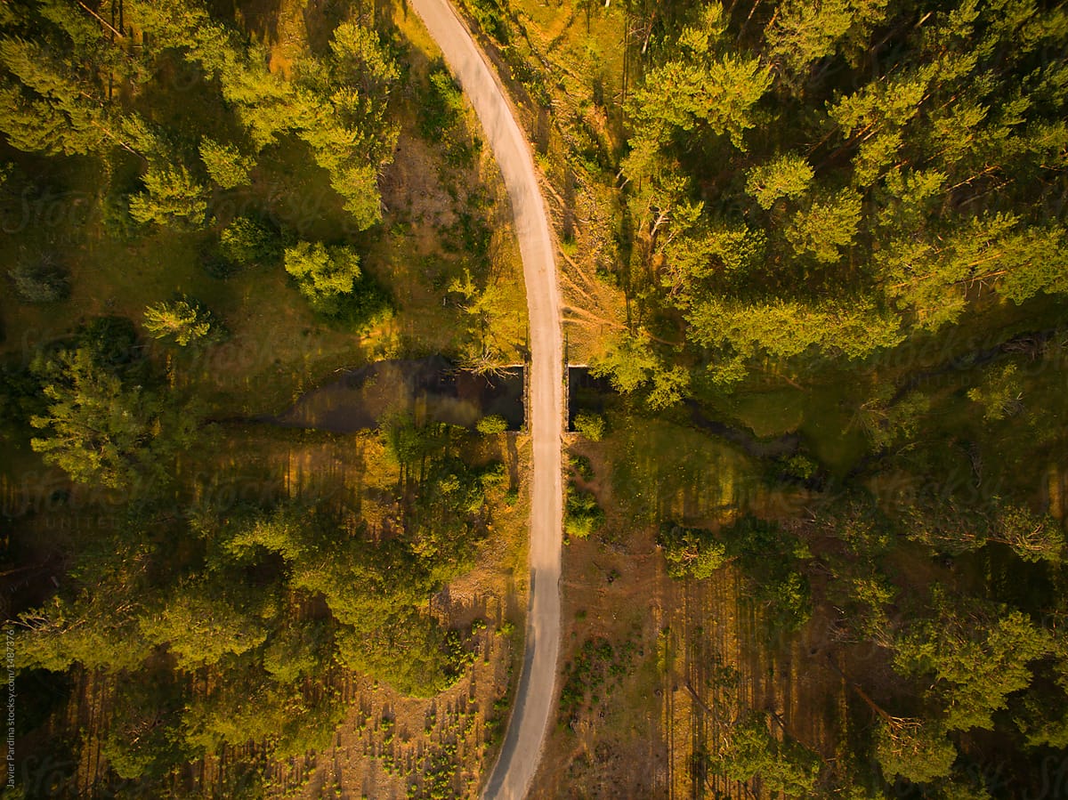 "Aerial Scene Of The Green Woods Of High Mountains." by Stocksy ...