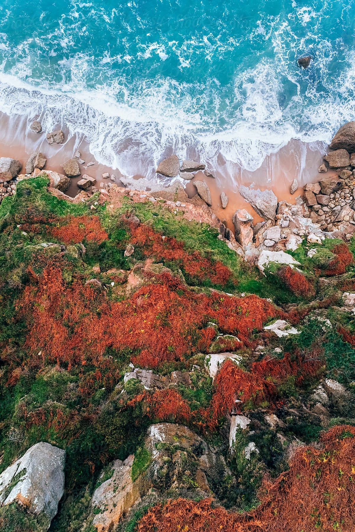 "Wild Beach View" by Stocksy Contributor "Marco Govel" - Stocksy