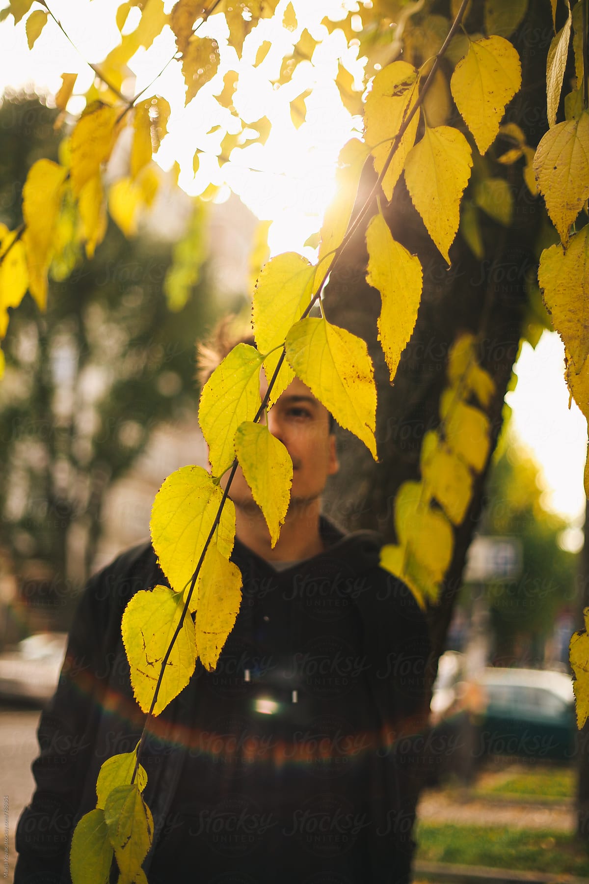 "Portrait Of A Man Behind The Leaves" by Stocksy Contributor "Marija ...