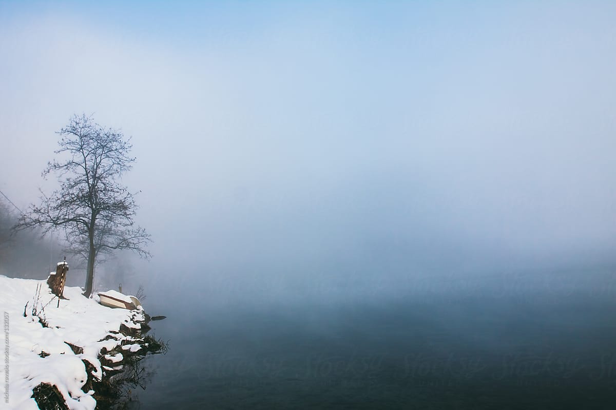 "A Tree In Morning Haze" by Stocksy Contributor "Michela Ravasio" - Stocksy