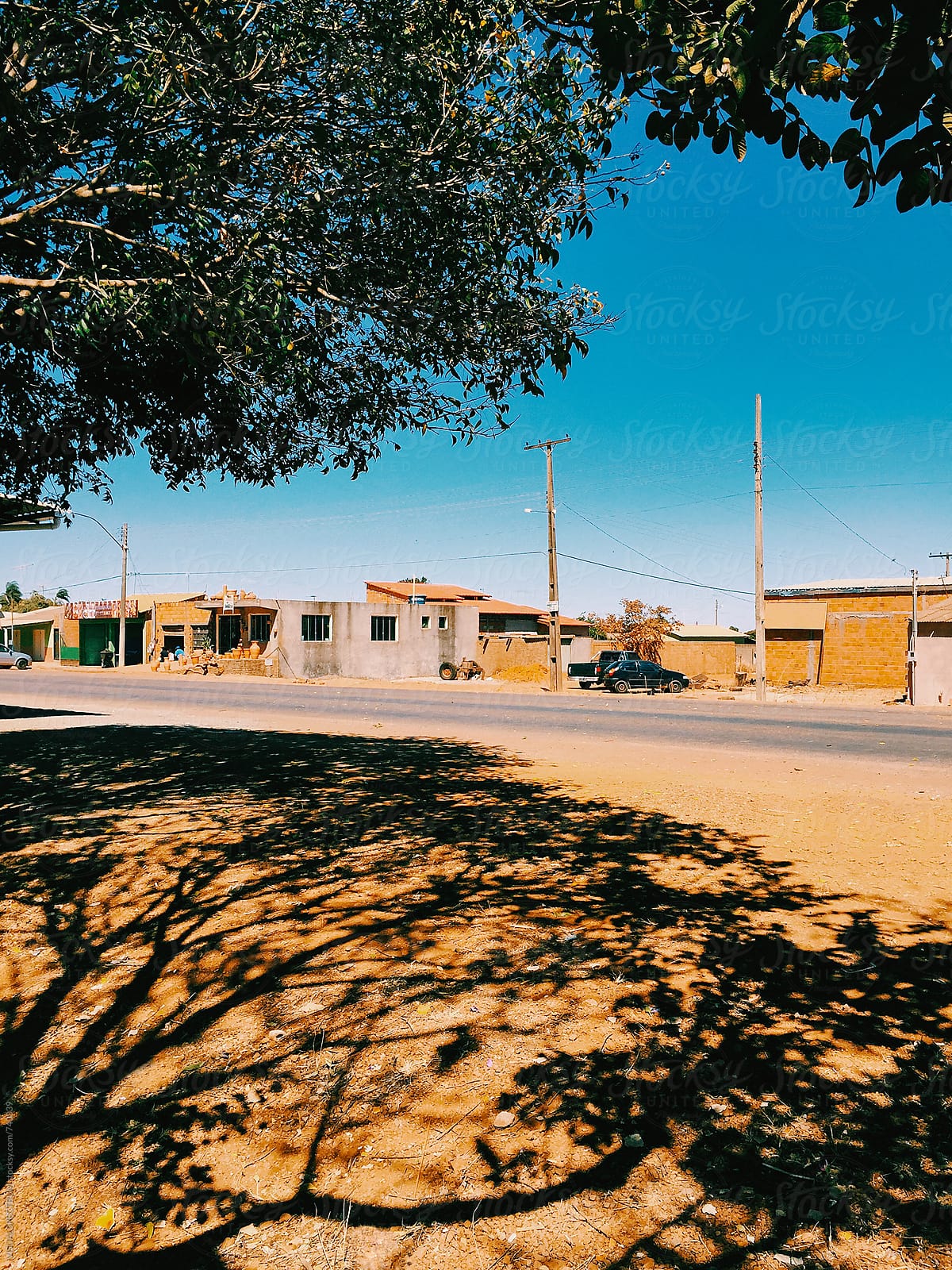 "Large Tree Shadow In Brazilian Village" by Stocksy Contributor ...