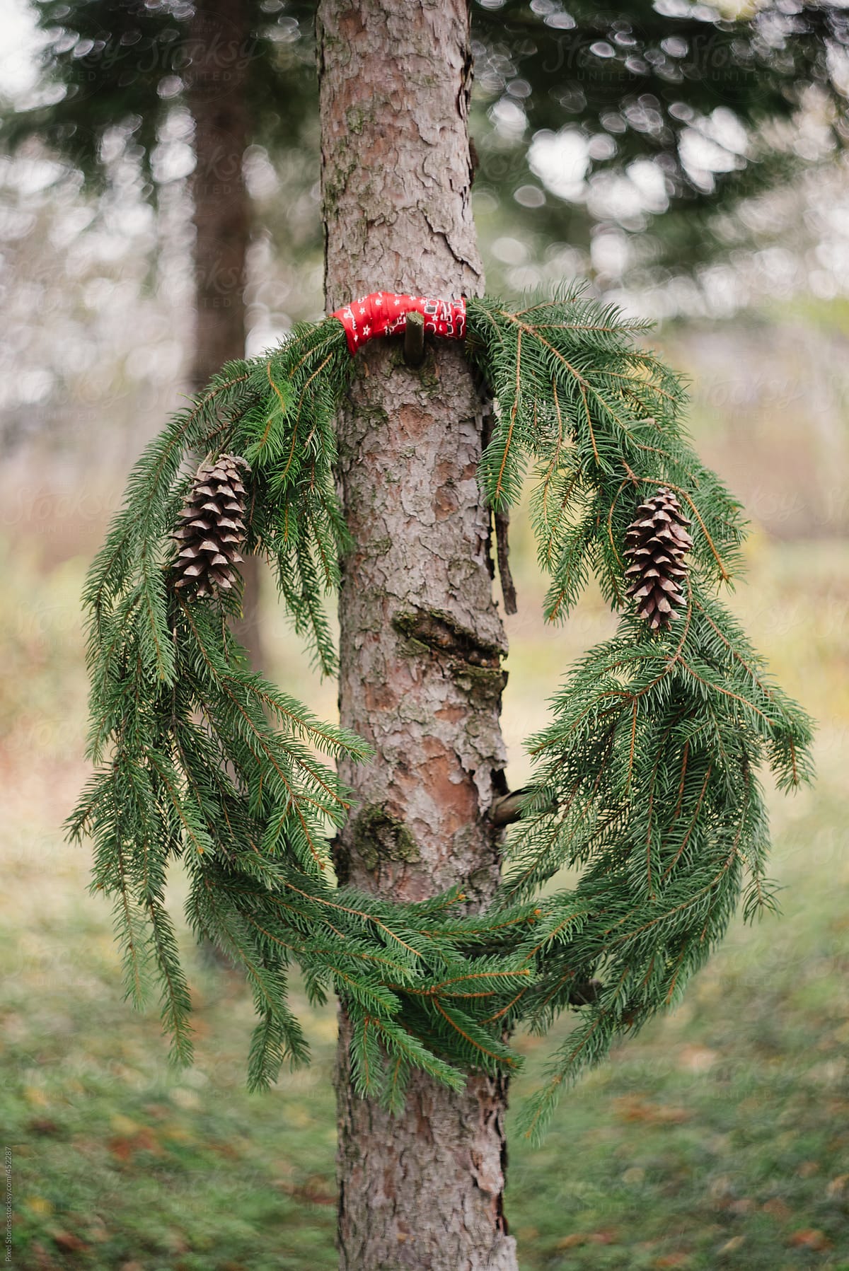 "Christmas Wreath On Tree" by Stocksy Contributor "Sibila And Pavel ...