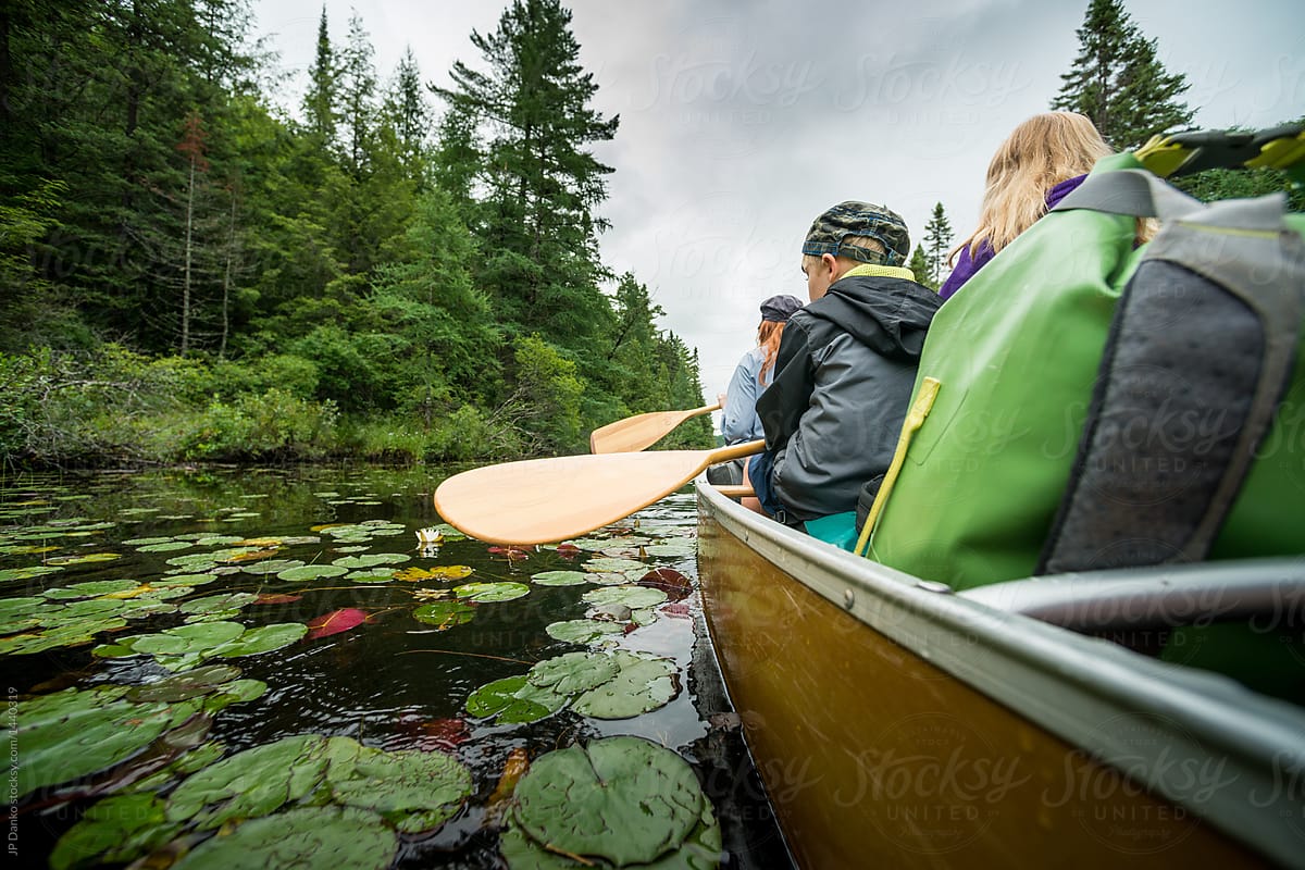 "Family Paddling Canoe On Lily Pad Lake On Wilderness Canoe Trip ...