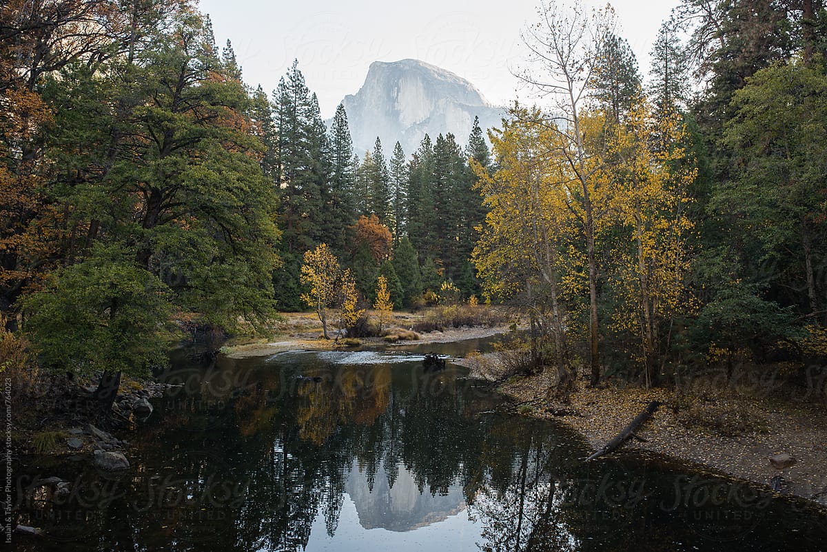 "Tree And Mountain Reflection" by Stocksy Contributor "itla" - Stocksy