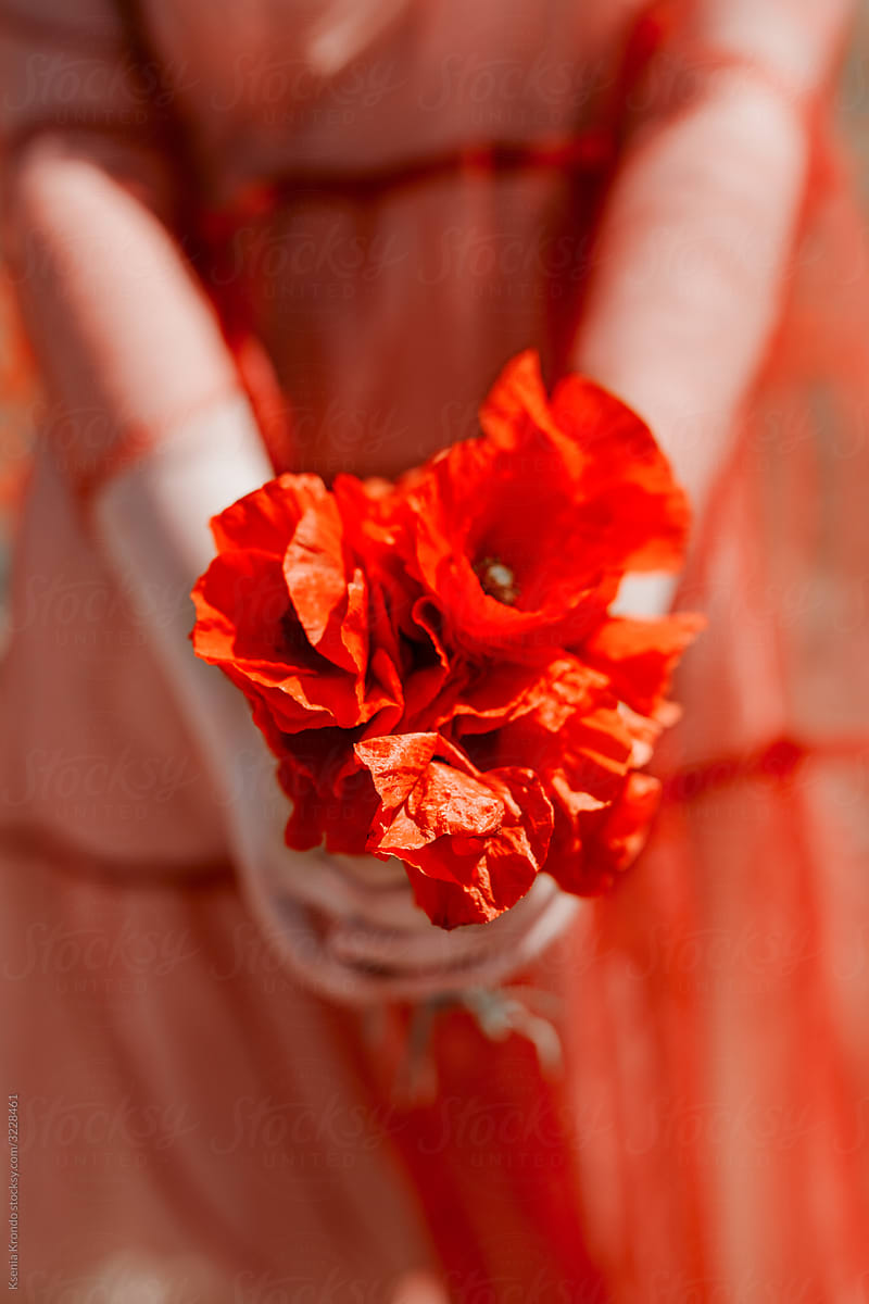 "Hands Holding Bouquet Of Poppies" by Stocksy Contributor "Ksenia ...