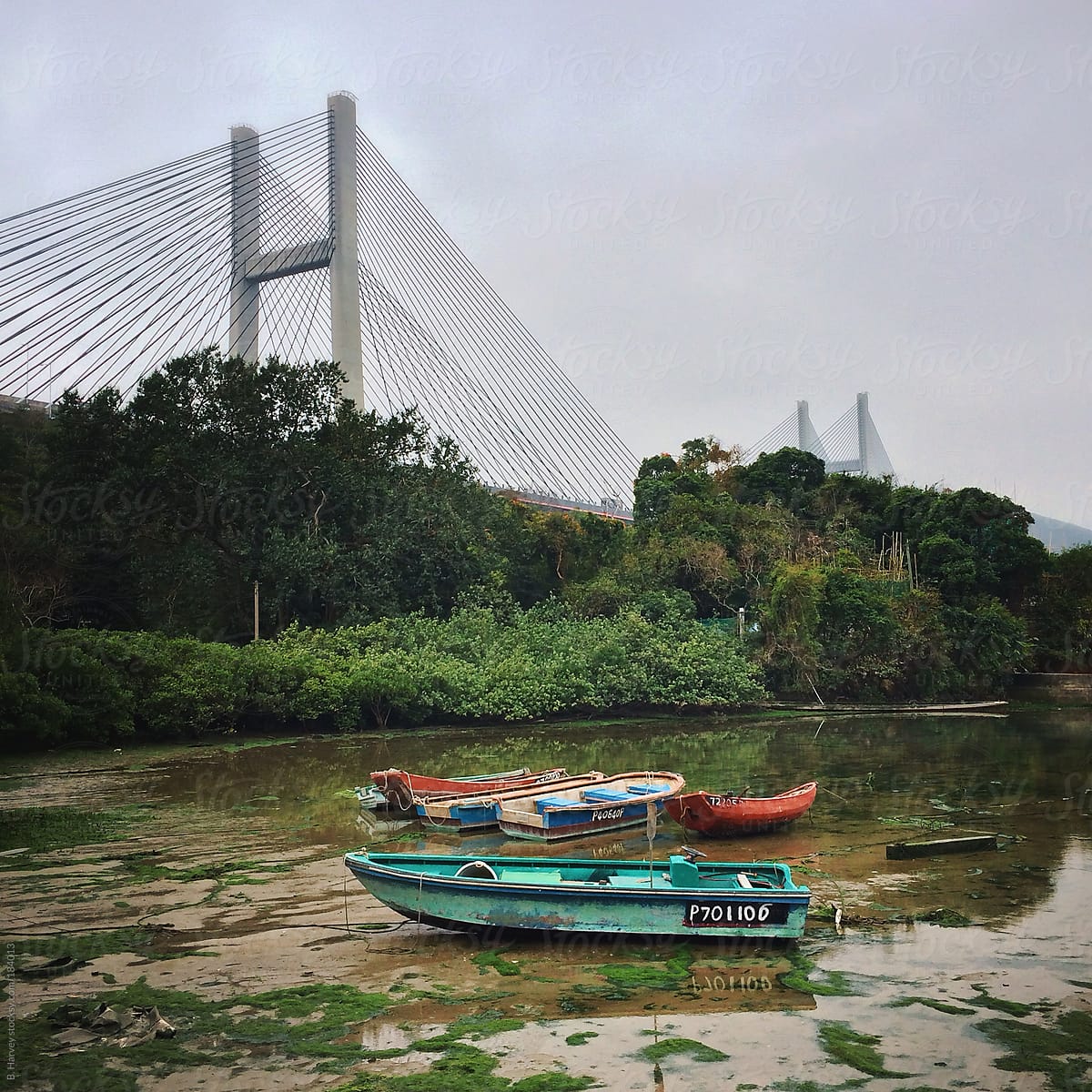 "Chinese Fishing Boats" by Stocksy Contributor "Branden Harvey Stories ...