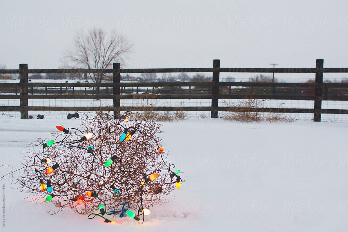 Tumbleweed Christmas Themes A Tumbleweed Christmas Tree At The Corner