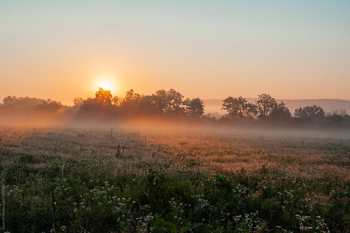 "Morning Landscape" by Stocksy Contributor "Sveta SH" - Stocksy