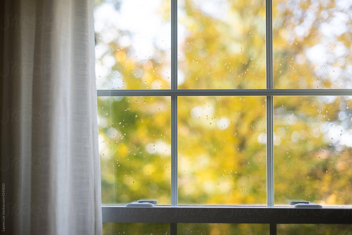 "Window With Beautiful Foliage Blurred Outside" by Stocksy Contributor ...
