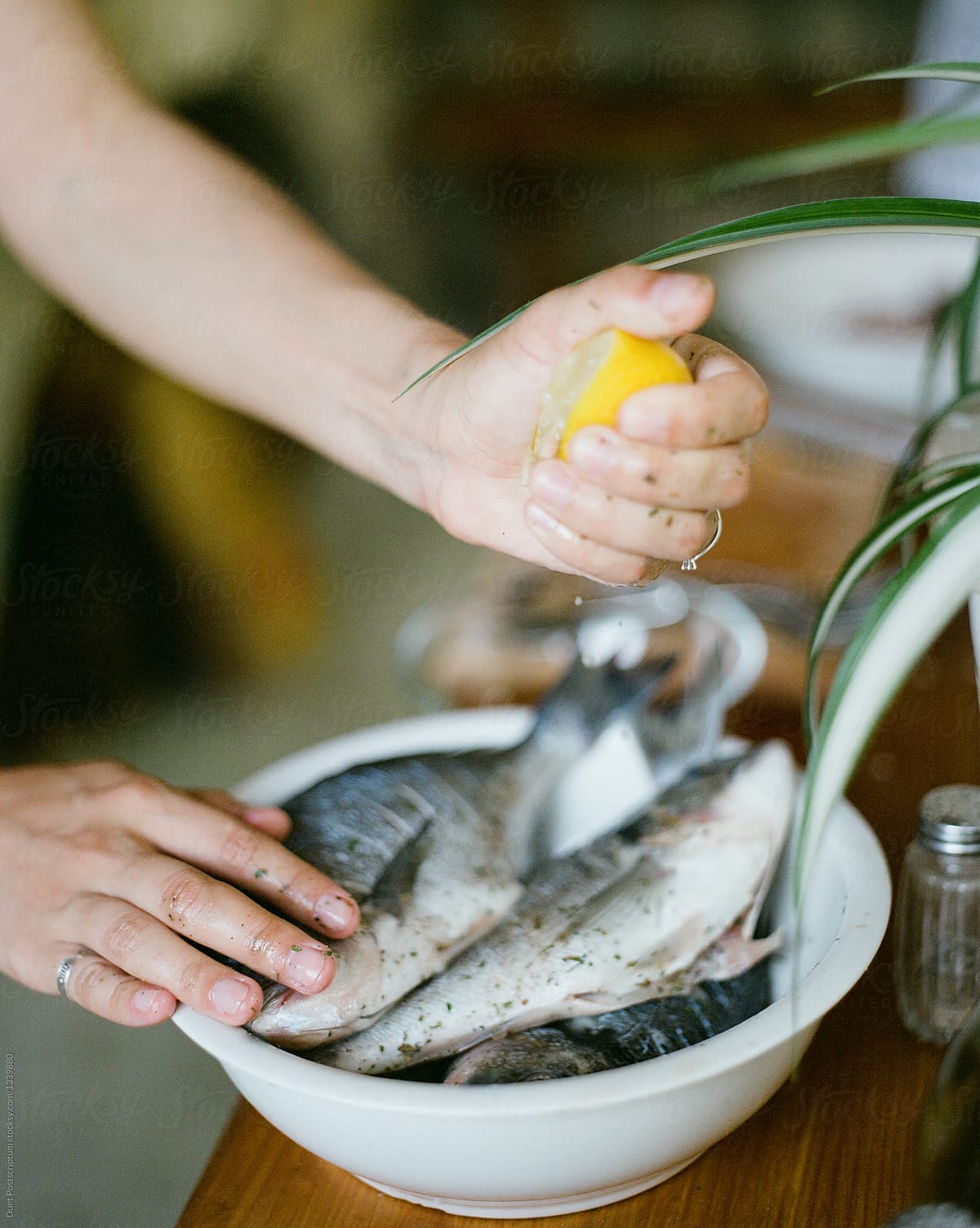 "Hand Of Person Squeezing Lemon" by Stocksy Contributor "Duet ...
