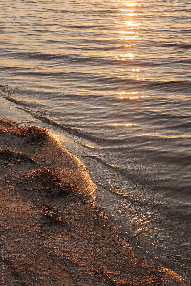 "Sunlight On Water Beach Landscape" by Stocksy Contributor "Maryanne ...