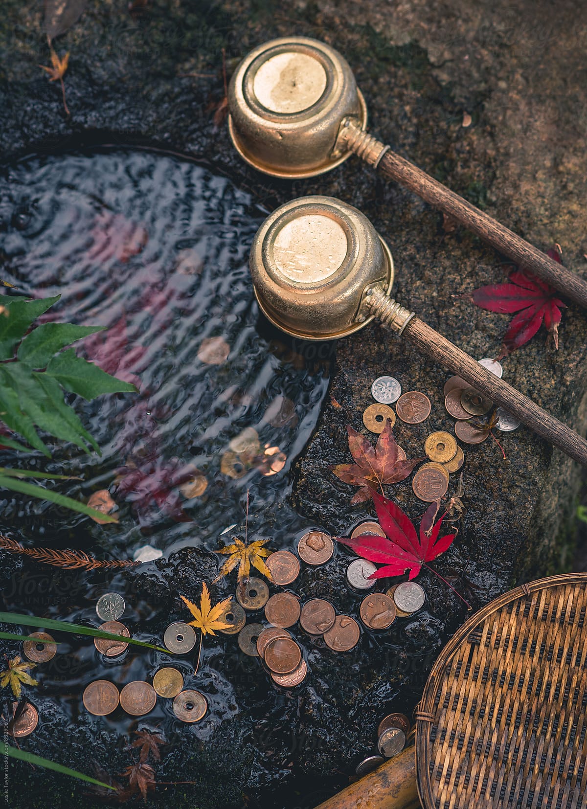 "Water Coins And Leaves At A Japanese Temple" by Stocksy Contributor ...
