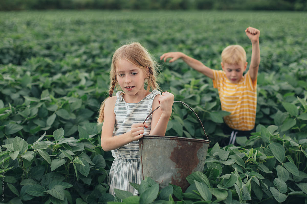 "Life Is Better On The Farm" by Stocksy Contributor "Studio Firma ...