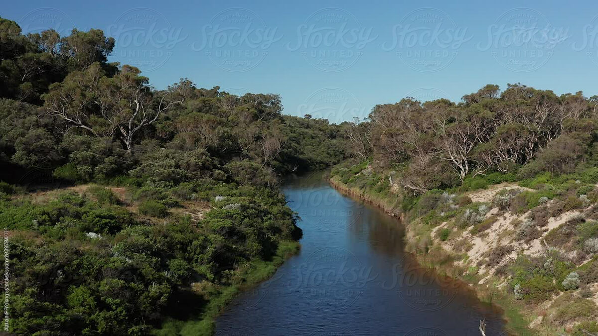 "Coastal River" by Stocksy Contributor "Adrian P Young" - Stocksy