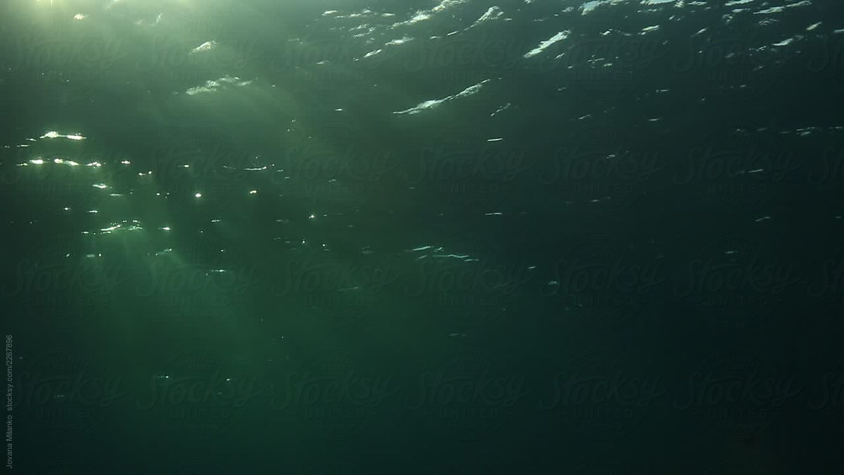 "Sunlight Underwater At Dusk" by Stocksy Contributor "Jovana Milanko ...