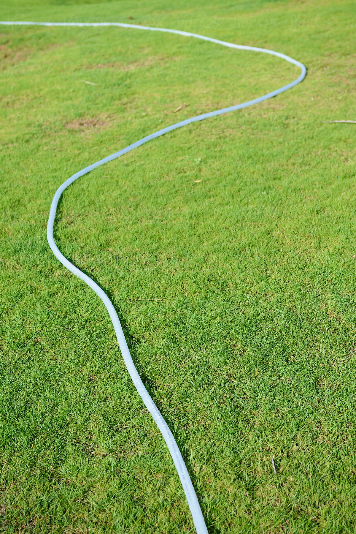 "Watering Pipes On Green Grass" by Stocksy Contributor "Lawren Lu ...