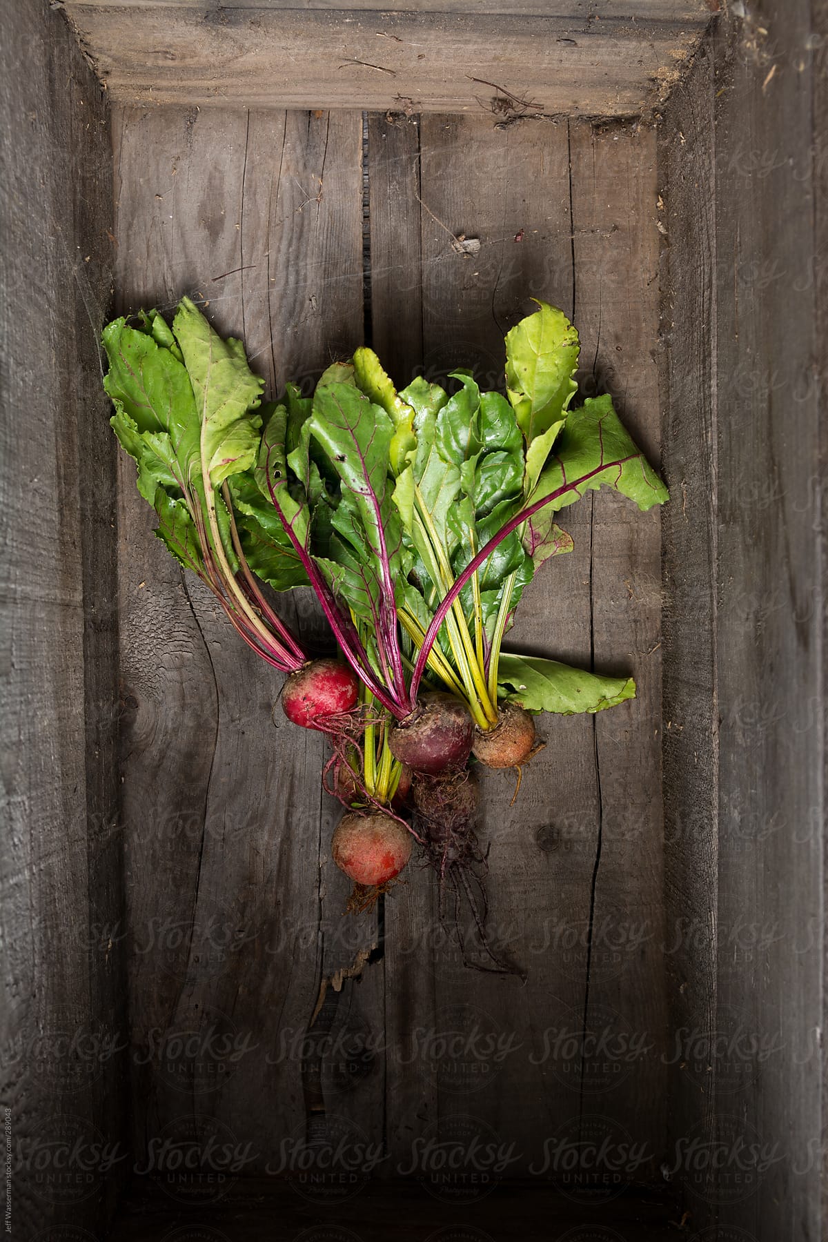 "Heirloom Beets In Crate" by Stocksy Contributor "Jeff Wasserman" - Stocksy