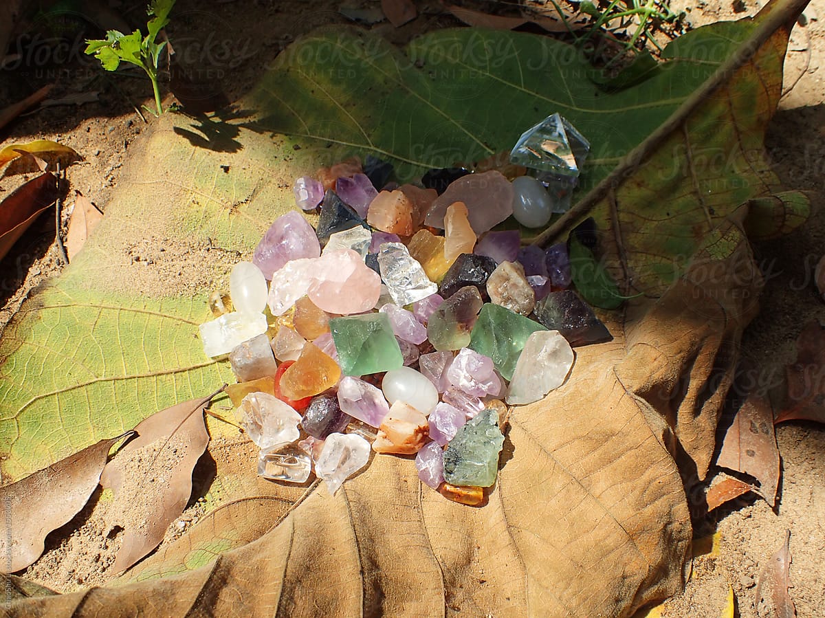 "Natural Crystal In The Leaves, In The Natural Environment" by Stocksy ...
