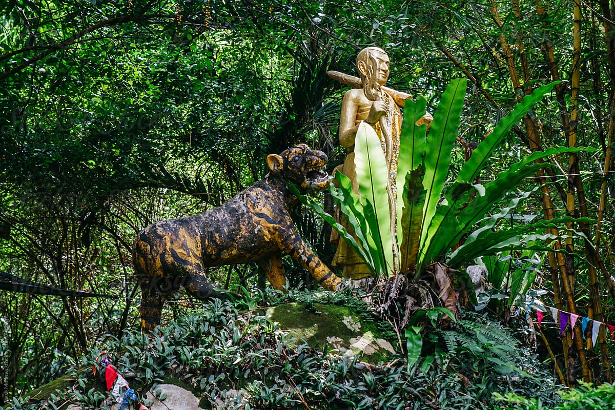 "Statue Of Tiger In Asian Jungle" by Stocksy Contributor "Jesse Morrow ...