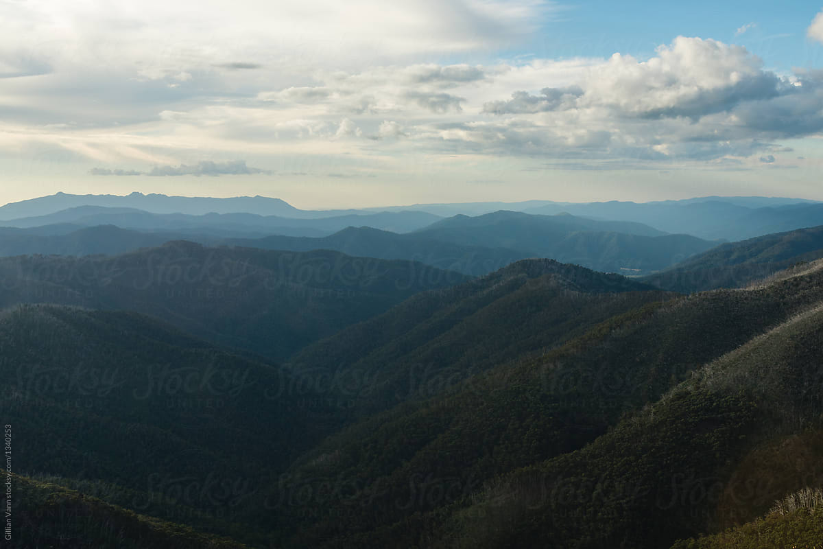 "Australian Alps In Summer" by Stocksy Contributor "Gillian Vann" - Stocksy
