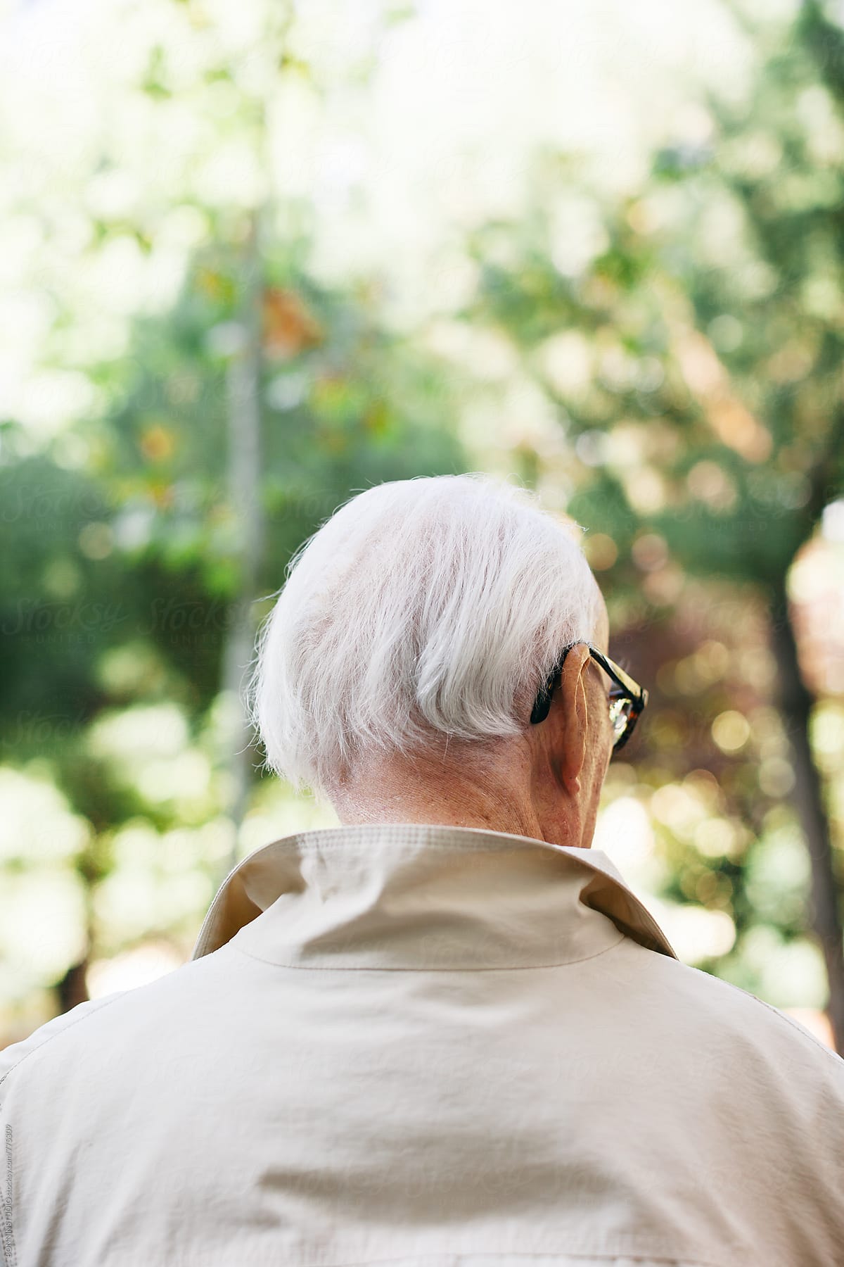 "Back View Of An Elderly Man Sitting On A Bench." by Stocksy ...