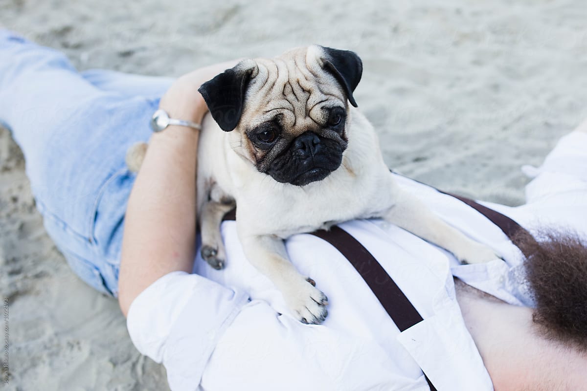 "Young Woman And A Pug Dog" by Stocksy Contributor "Jovana Rikalo ...